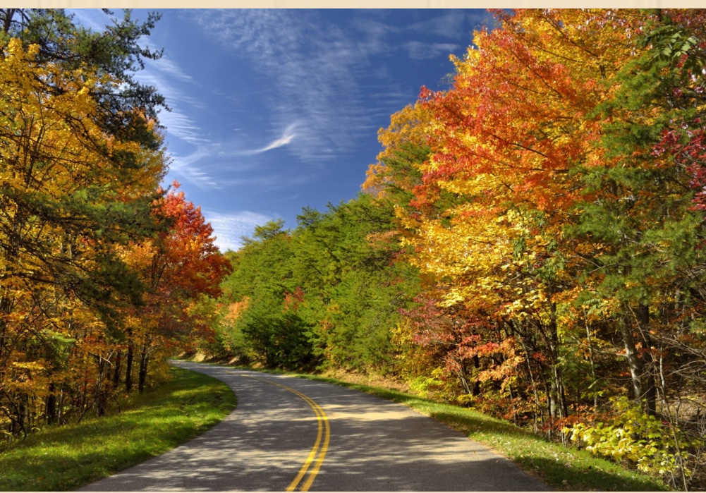 Missing in the Smokies – Polly Melton – Between the Beats