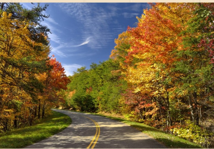 Missing in the Smokies – Polly Melton – Between the Beats